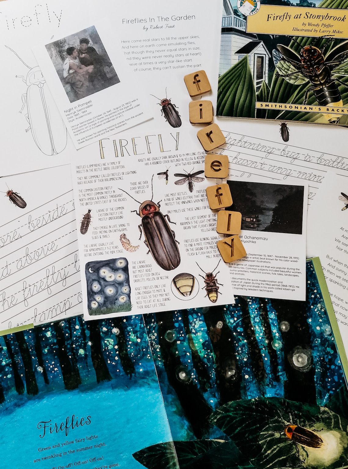 Firefly Unit Study Bundle - Etsy