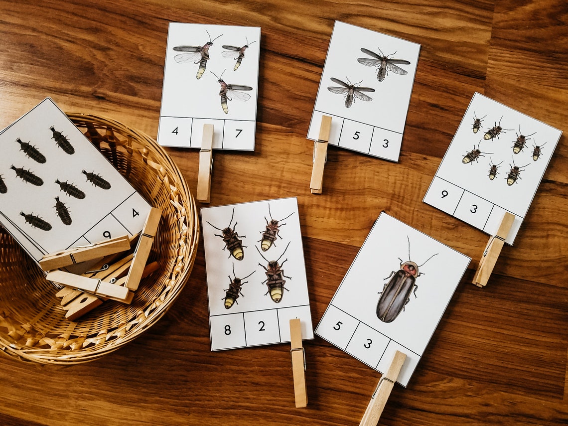 Firefly Unit Study Bundle - Etsy