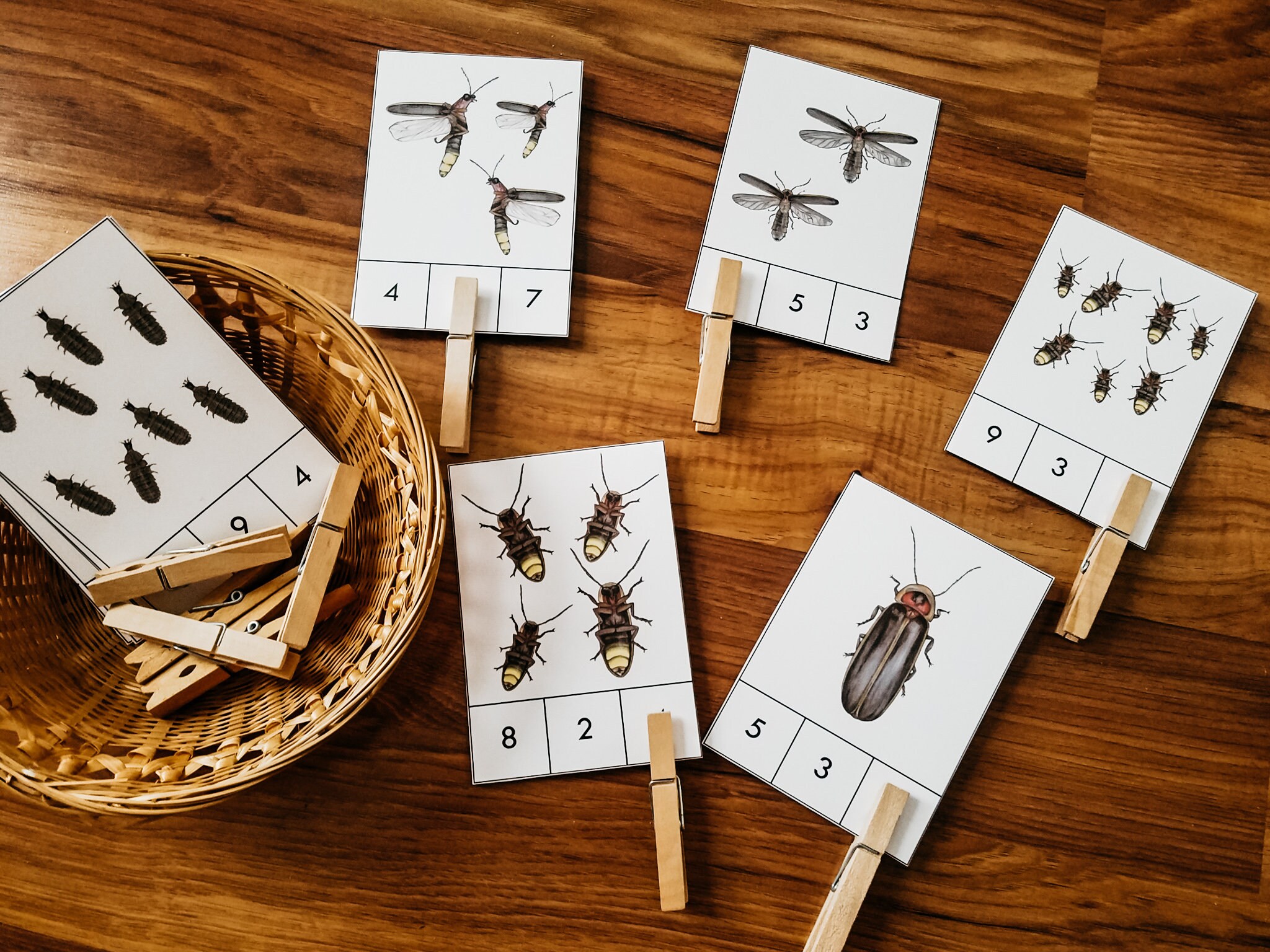 Firefly Unit Study Bundle - Etsy