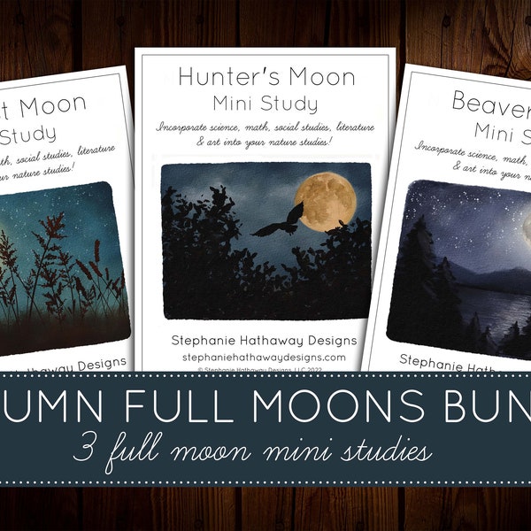 Full Moon - Etsy
