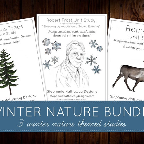 Winter Solstice Mini Nature Study - Etsy