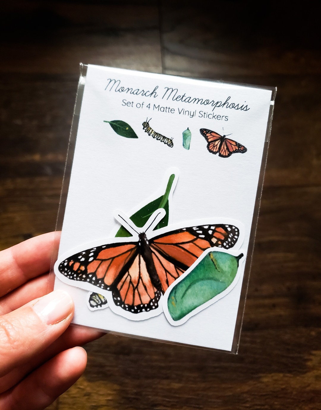 Monarch Butterfly Life Cycle Sticker Pack Set of 4 - Etsy