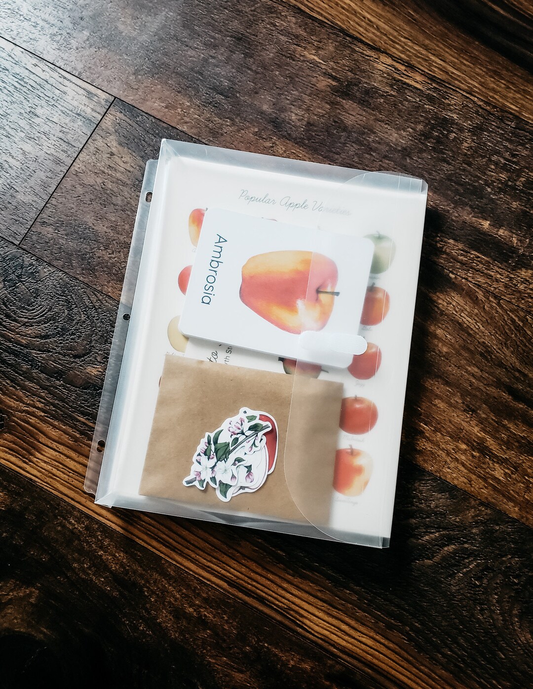 Apple Unit Study Physical Bundle - Etsy