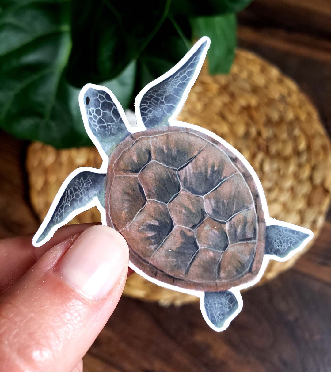 Green Sea Turtle Sticker - Etsy