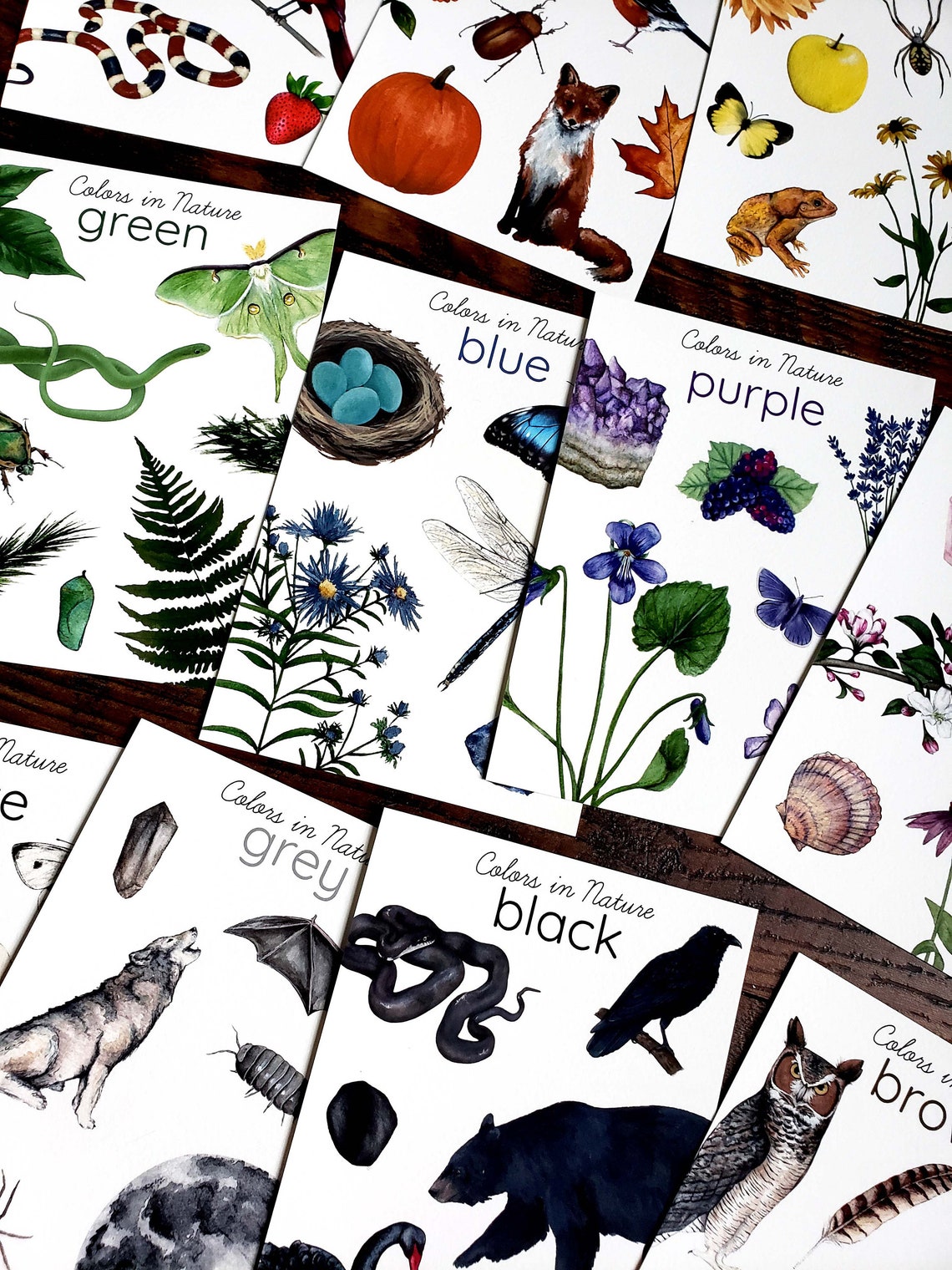 Colors in Nature Set of 11 Cards - Etsy