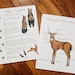 White-tailed Deer Unit Study Bundle - Etsy