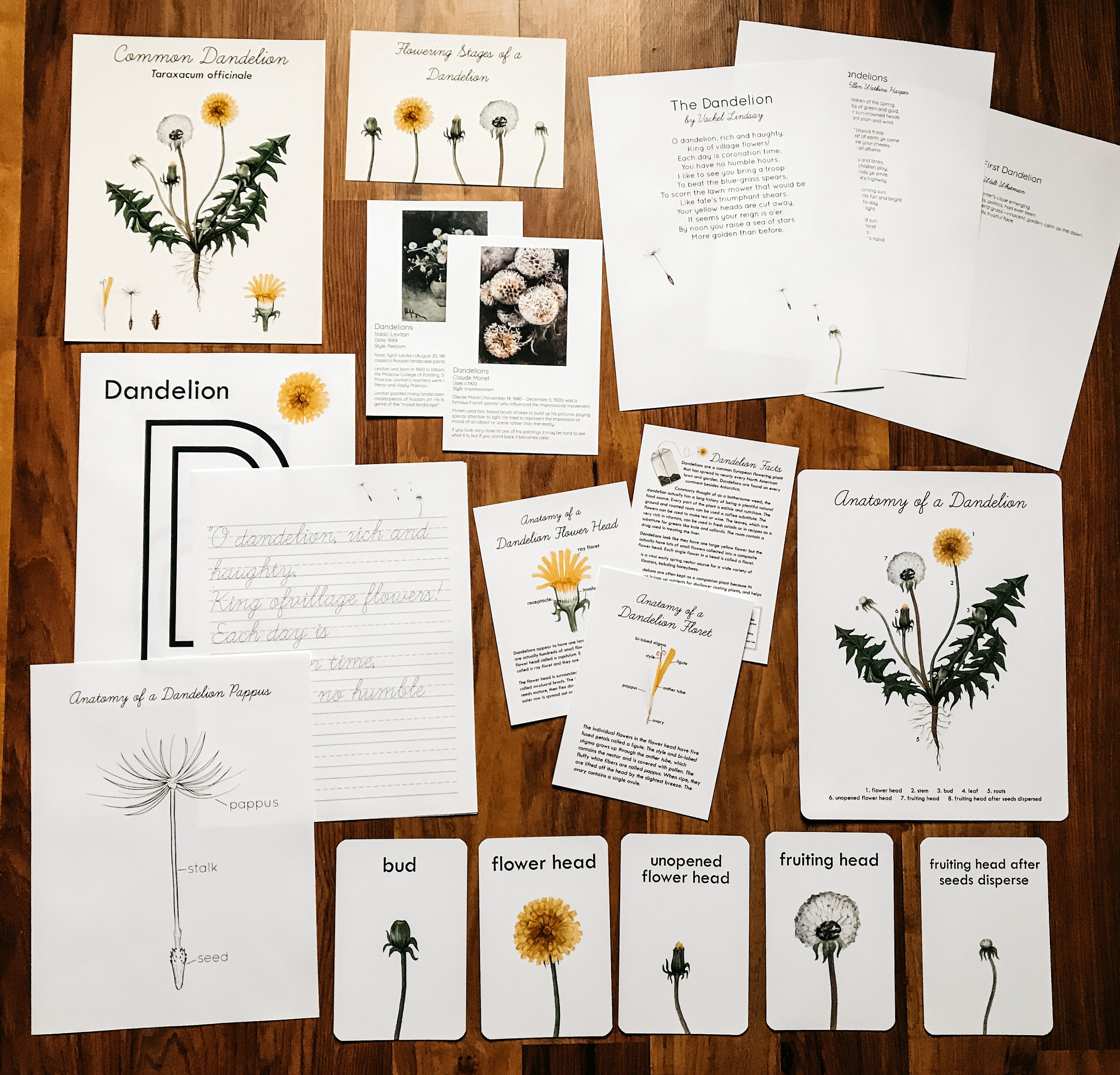 Backyard Nature Bundle - Etsy