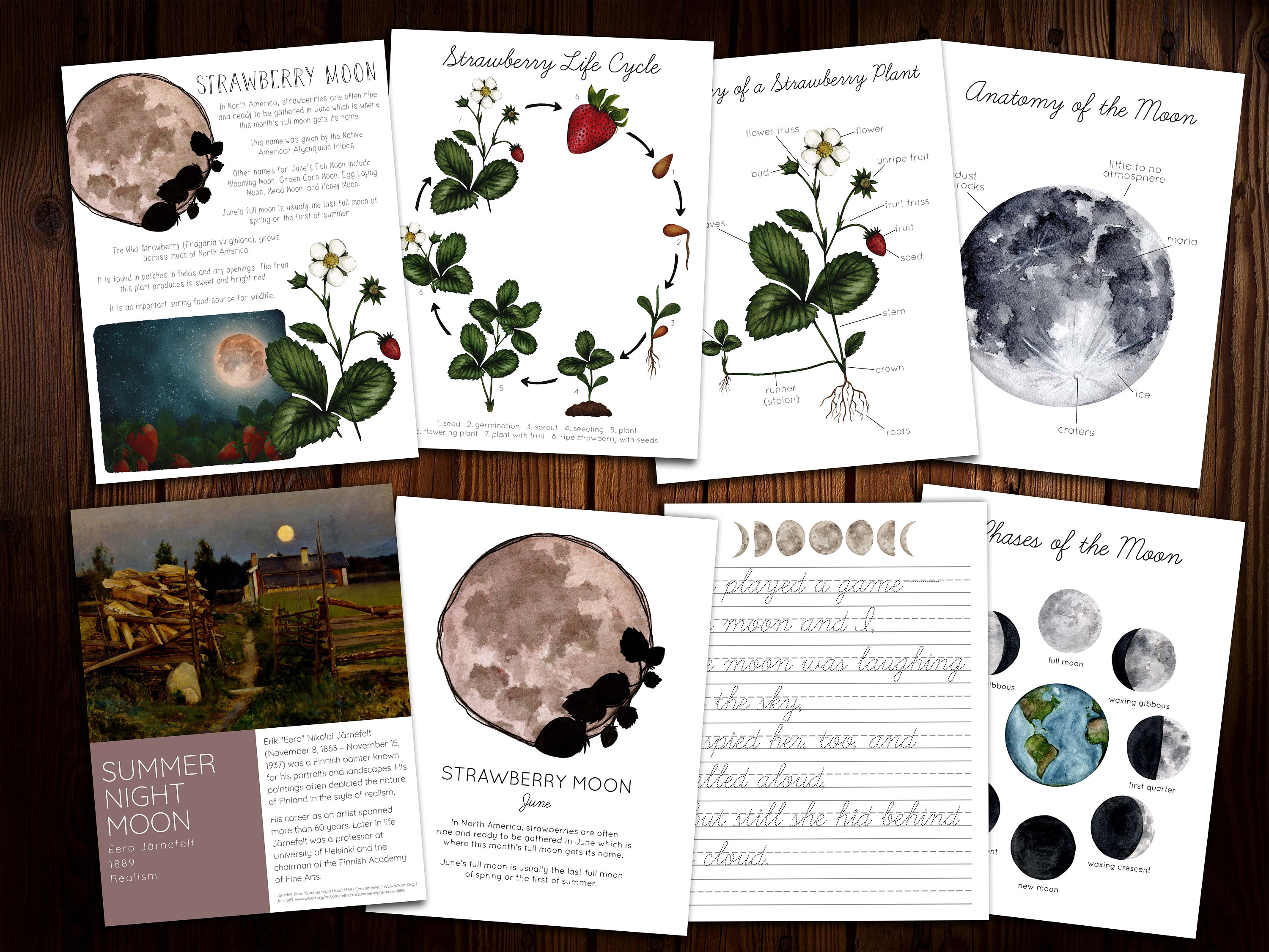 Strawberry Moon Mini Nature Study - Etsy