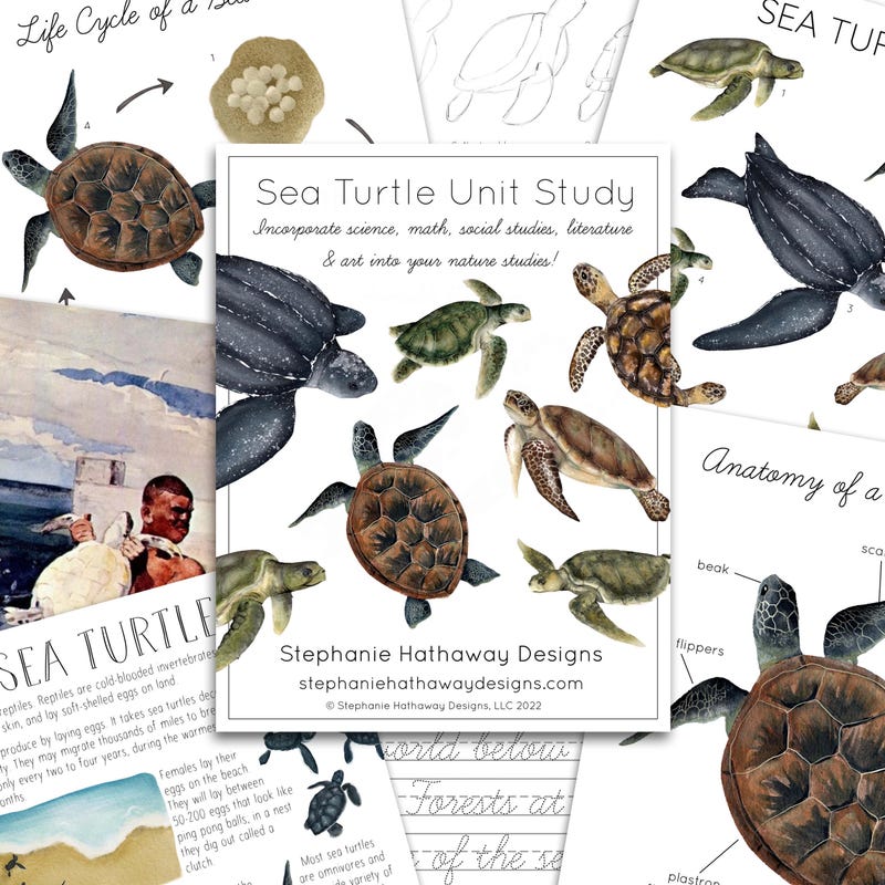 Sea Turtle Poster - Etsy