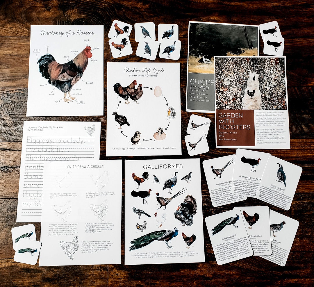Chicken Unit Study - Etsy