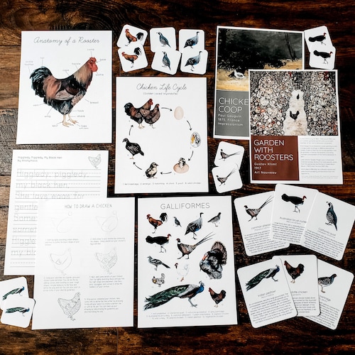 White-tailed Deer Unit Study Bundle - Etsy