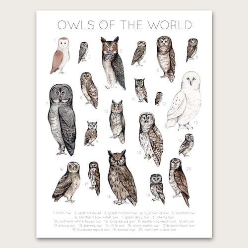 The Solar System Poster/art Print - Etsy