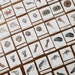 Seashore Animals Nature Study Bundle - Etsy