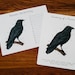 Raven Mini Unit Study - Etsy