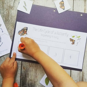 Life Cycle of a Butterfly Sequencing Activity and Matching Worksheet - Etsy