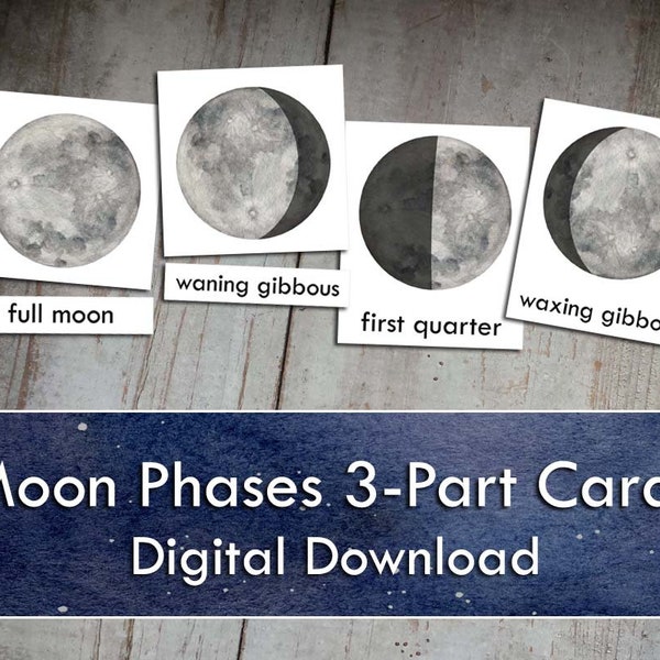 Moon Phases 3 Part Cards - Etsy