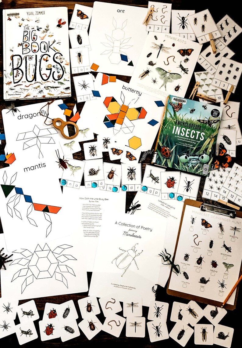 Minibeast Nature Study Vol. 1 - Etsy