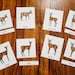 White-tailed Deer Unit Study Bundle - Etsy