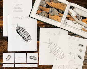 Plastic Pill Bug Roly Poly Insect Potato Bug Isopod Figure W/moving ...