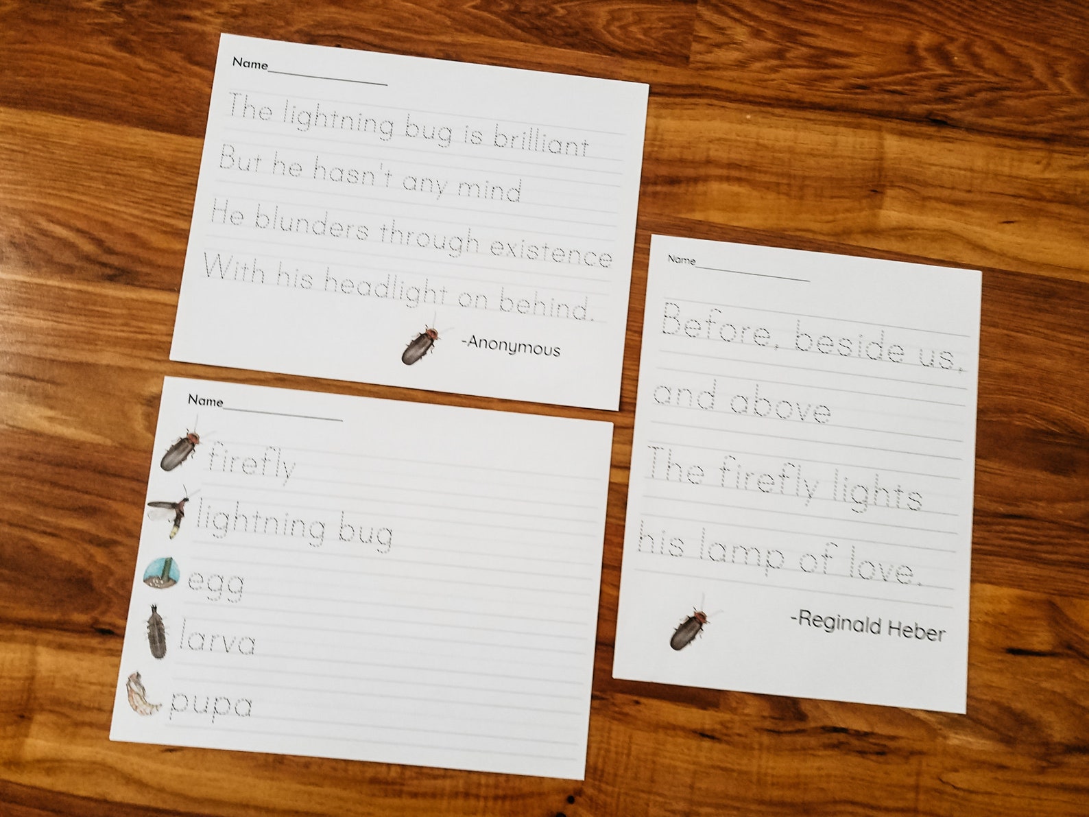 Firefly Unit Study Bundle - Etsy