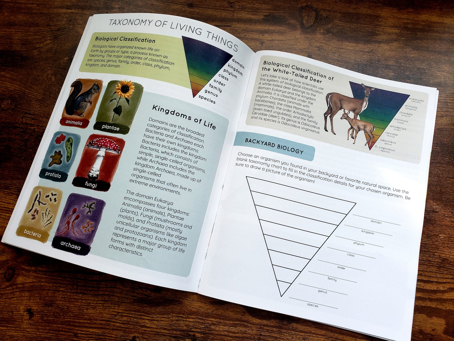 Backyard Ecology: A Printed Educational Guide Filled With Information ...