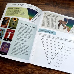 Backyard Ecology: A Printed Educational Guide Filled With Information ...