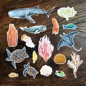 Coral Reef Stickers Set of 17 - Etsy