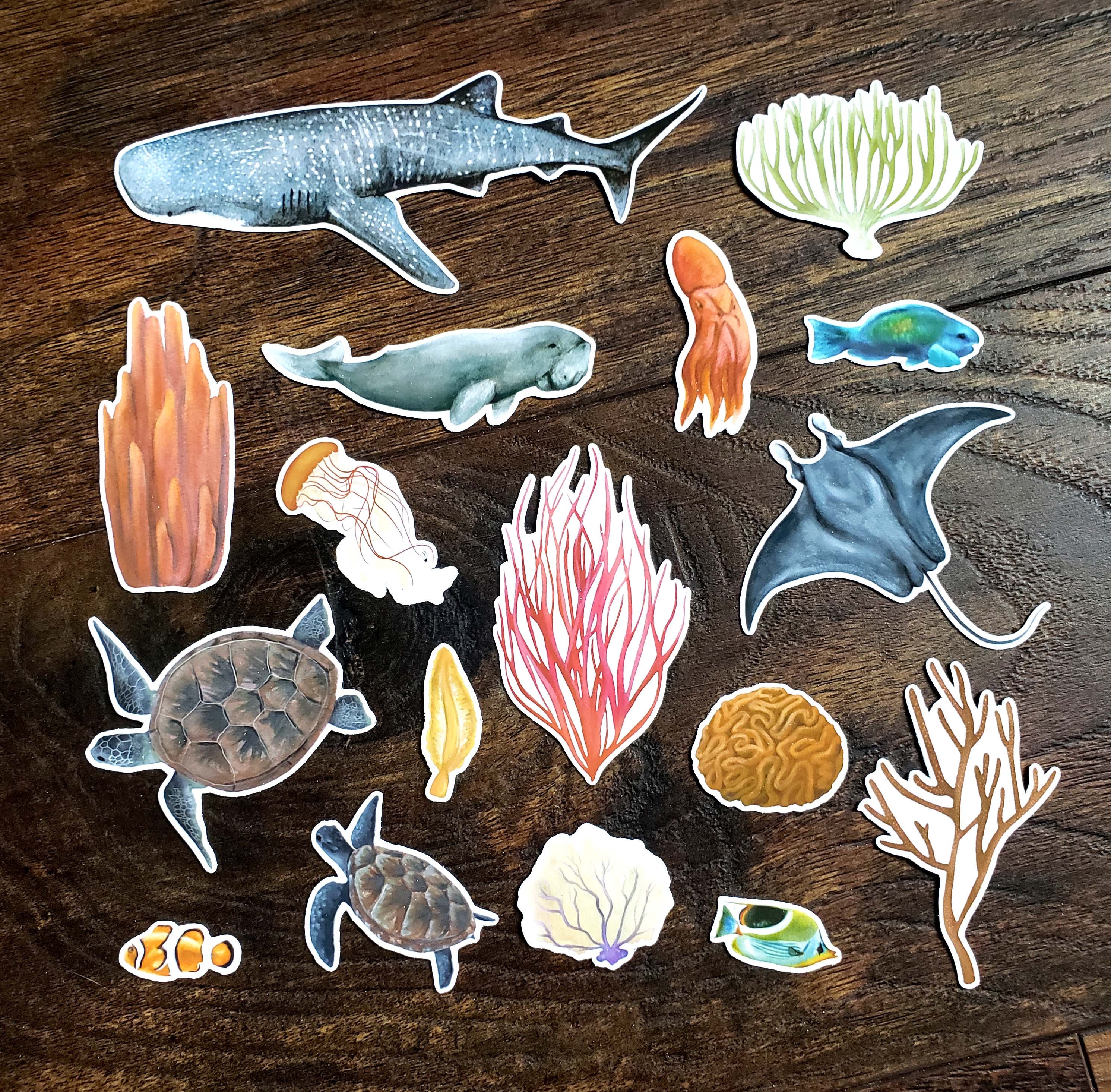 Coral Reef Sticker Pack, Set of 17 Matte Vinyl Stickers — Stephanie ...