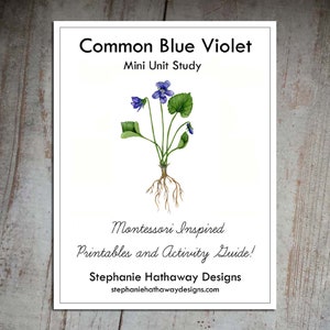 Common Blue Violet Mini Nature Study Bundle - Etsy