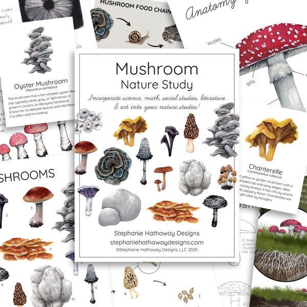 Mushroom Poster - Etsy
