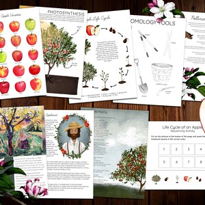Autumn Collection - Etsy