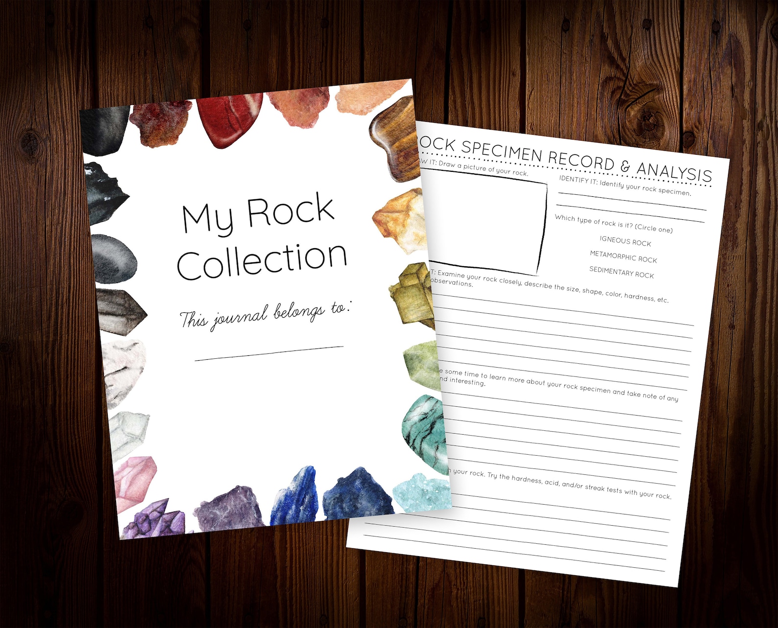 Rocks Minerals & Gemstones Unit Study - Etsy