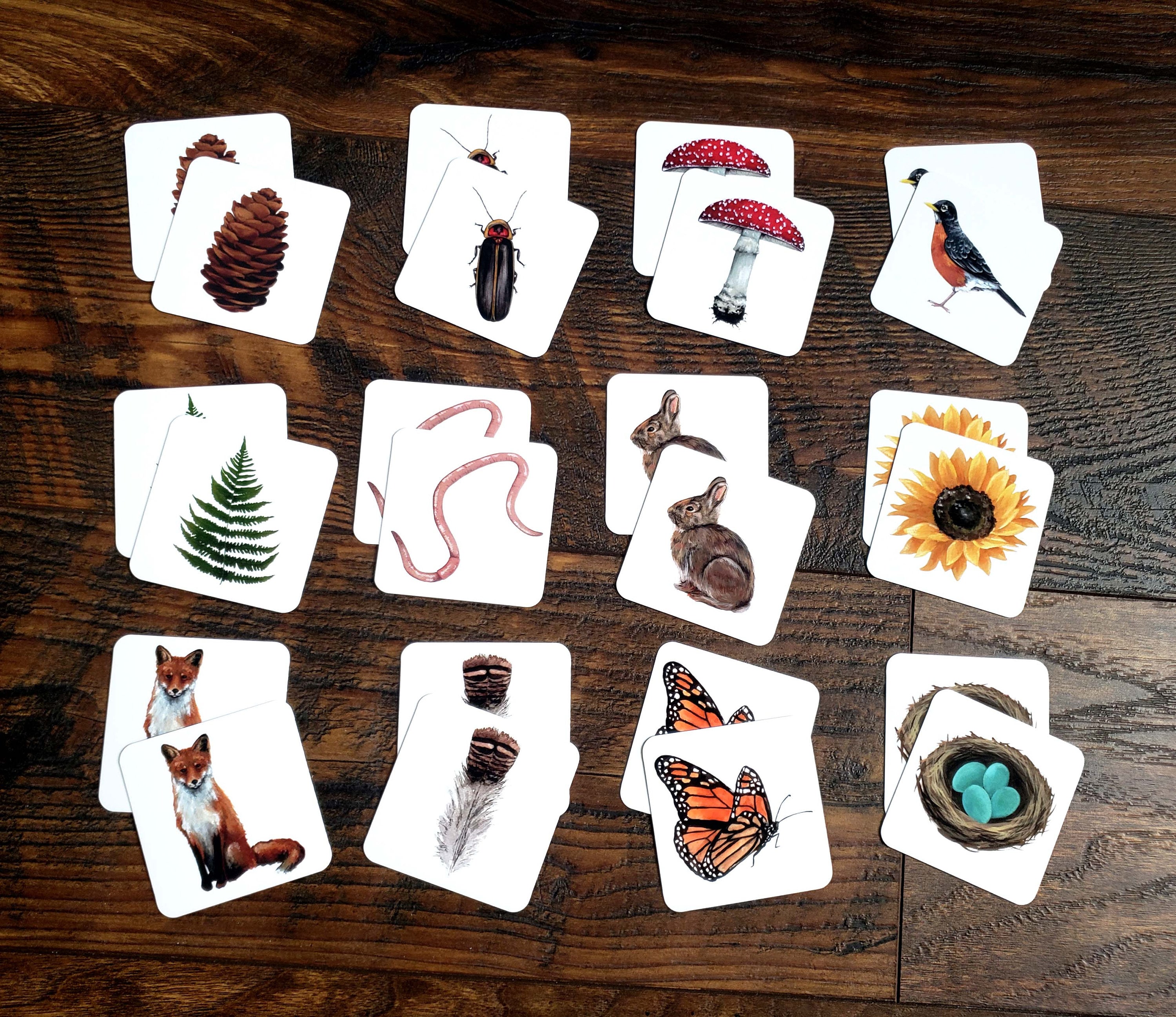 Backyard Nature Matching Game - Etsy