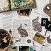 Easter Nature Study Bundle - Etsy