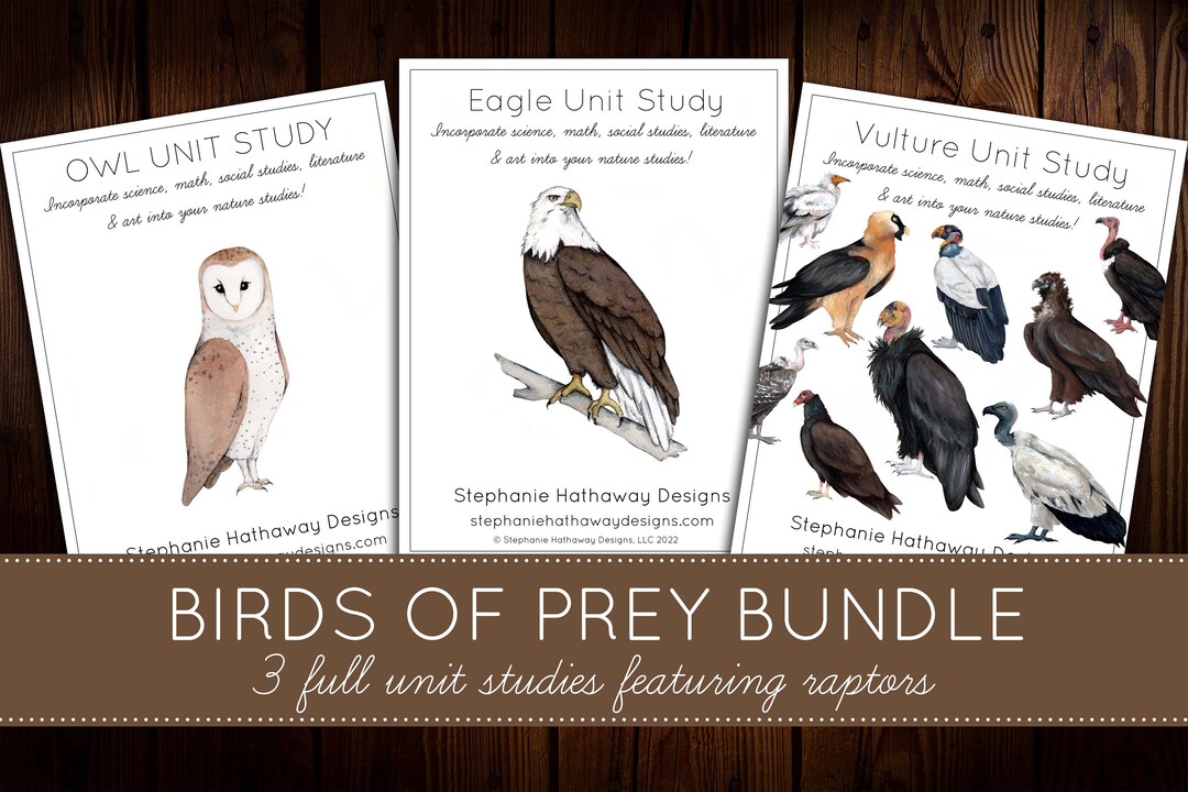 Birds of Prey Bundle - Etsy