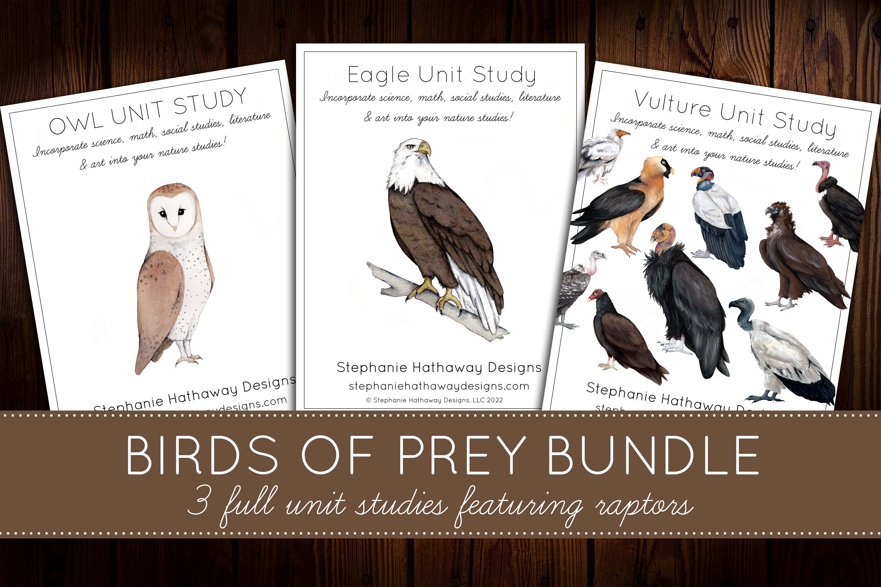 Birds of Prey Bundle - Etsy