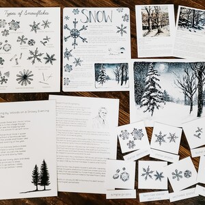 Snow Nature Study Physical Bundle - Etsy