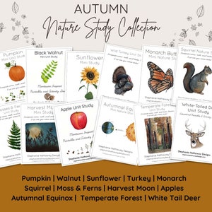 Autumn Collection - Etsy