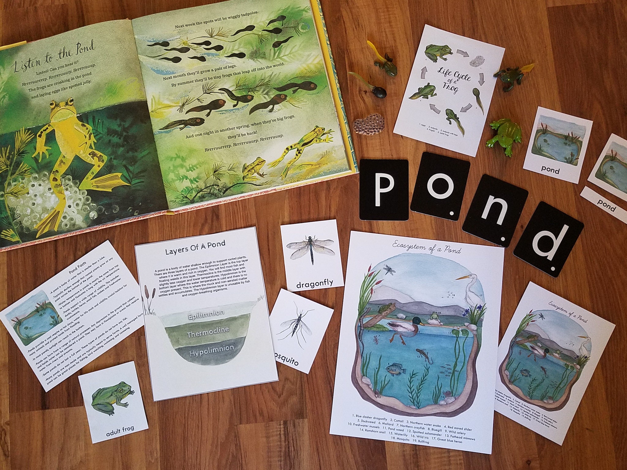Pond Unit Study Bundle | Etsy
