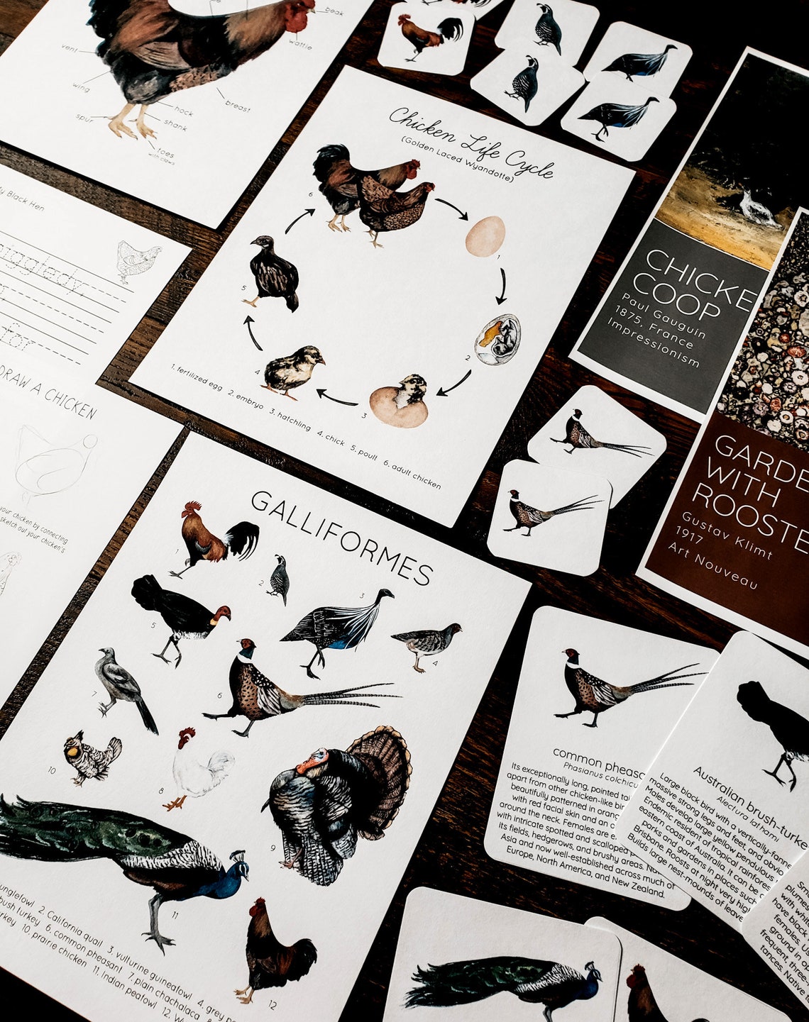 Chicken Unit Study - Etsy