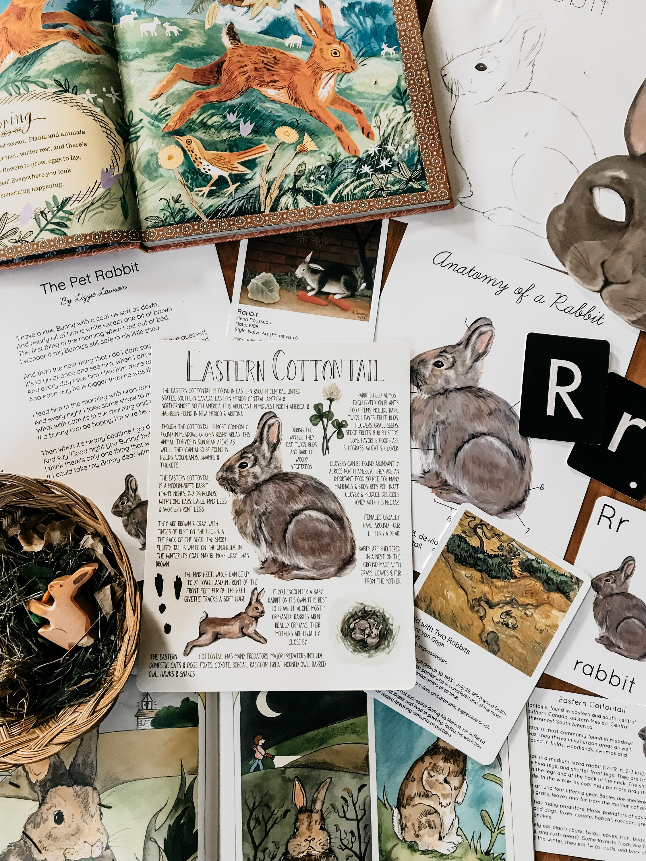 Backyard Nature Bundle - Etsy