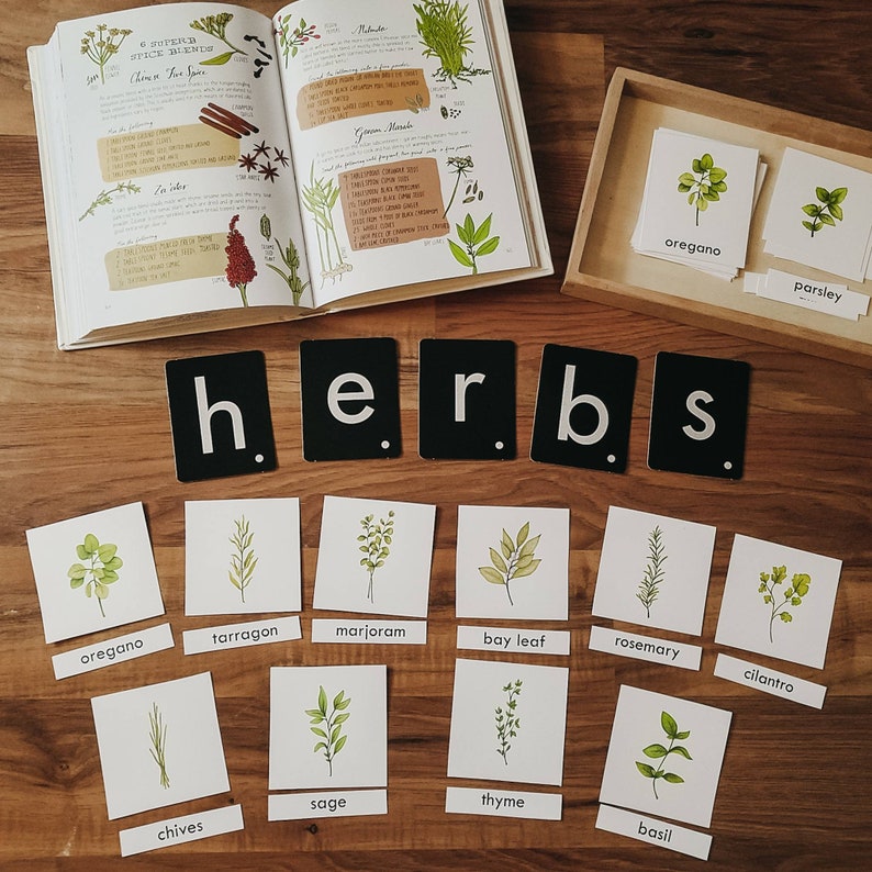 Kitchen Herbs Montessori 3-Part Cards | Etsy