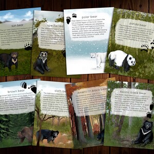 Bear Unit Study - Etsy