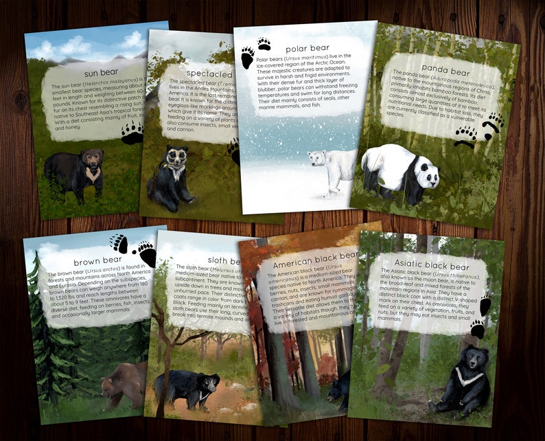 Bear Unit Study - Etsy