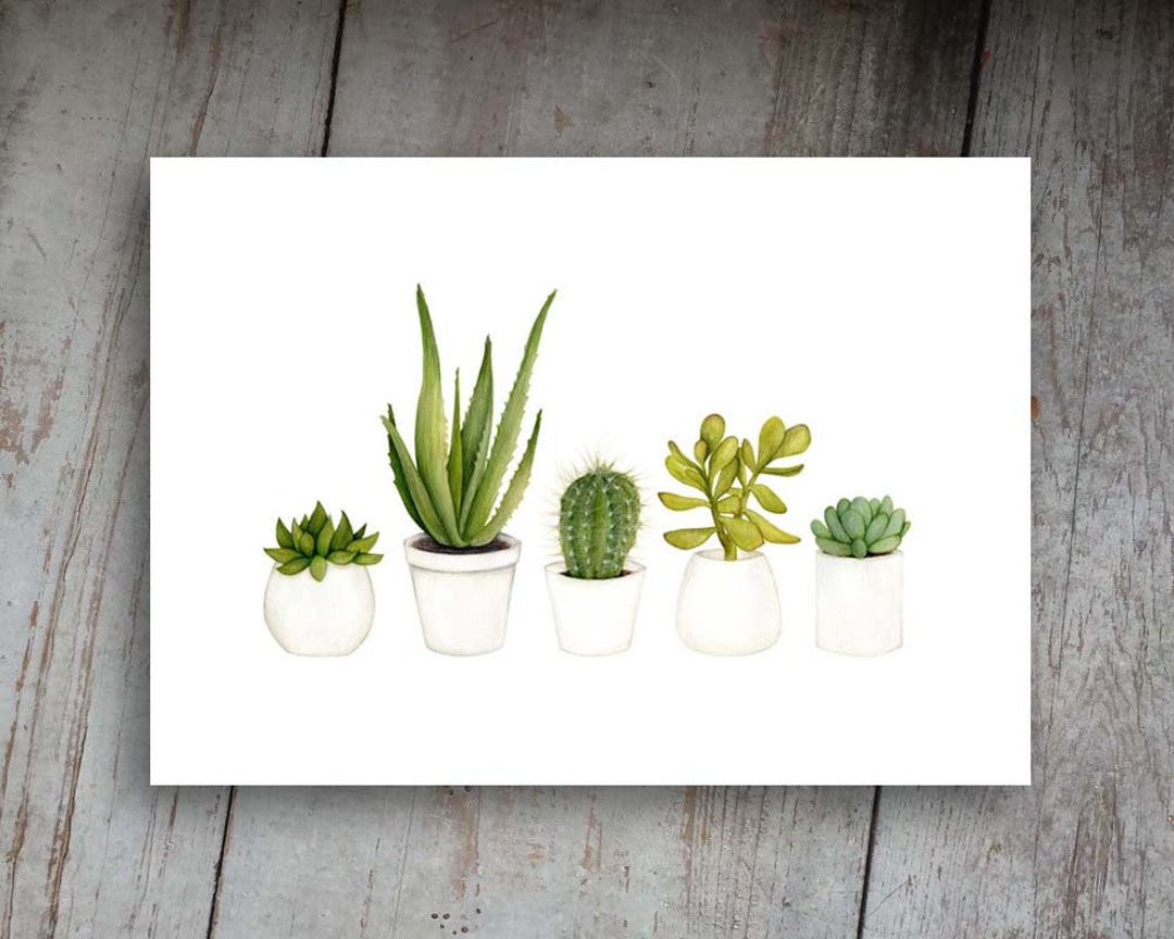 Succulant & Cacti Print Digital Download Printable - Etsy