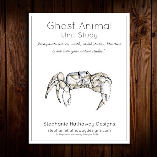 POND Unit Study Animals and Plants Unit Life Cycle Anatomy - Etsy