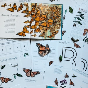 Monarch Butterfly Mini Nature Study - Etsy