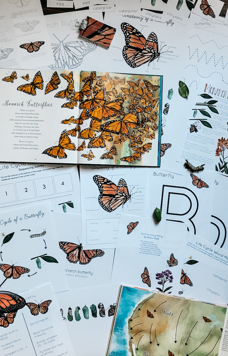 Monarch Butterfly Mini Nature Study - Etsy