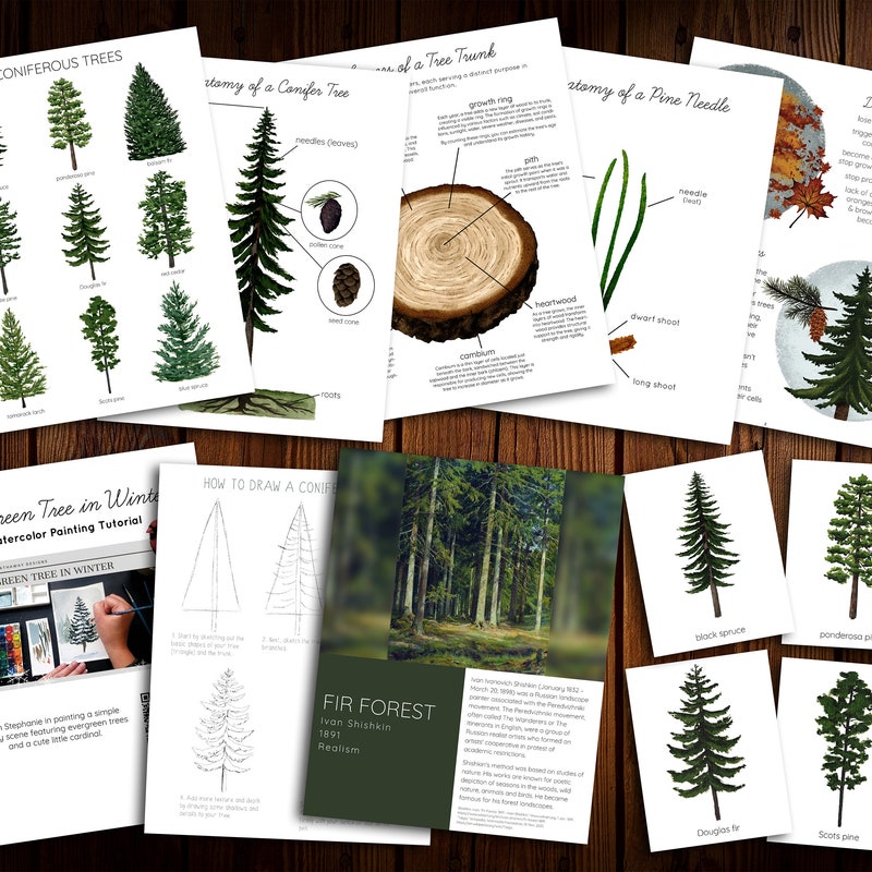 Mini Studies Trees - Etsy