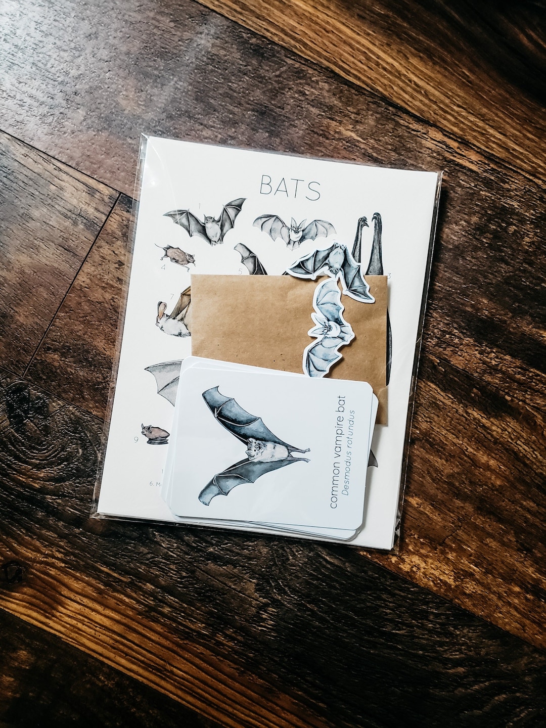 Bat Mini Nature Study Physical Bundle - Etsy
